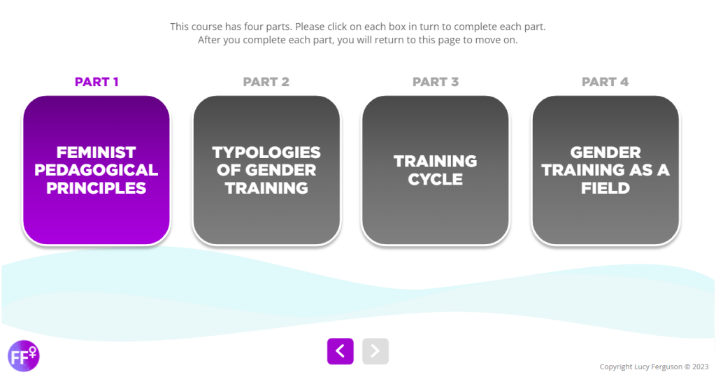 Introduction to Gender Training (Level 1) – Fabulous Feminists